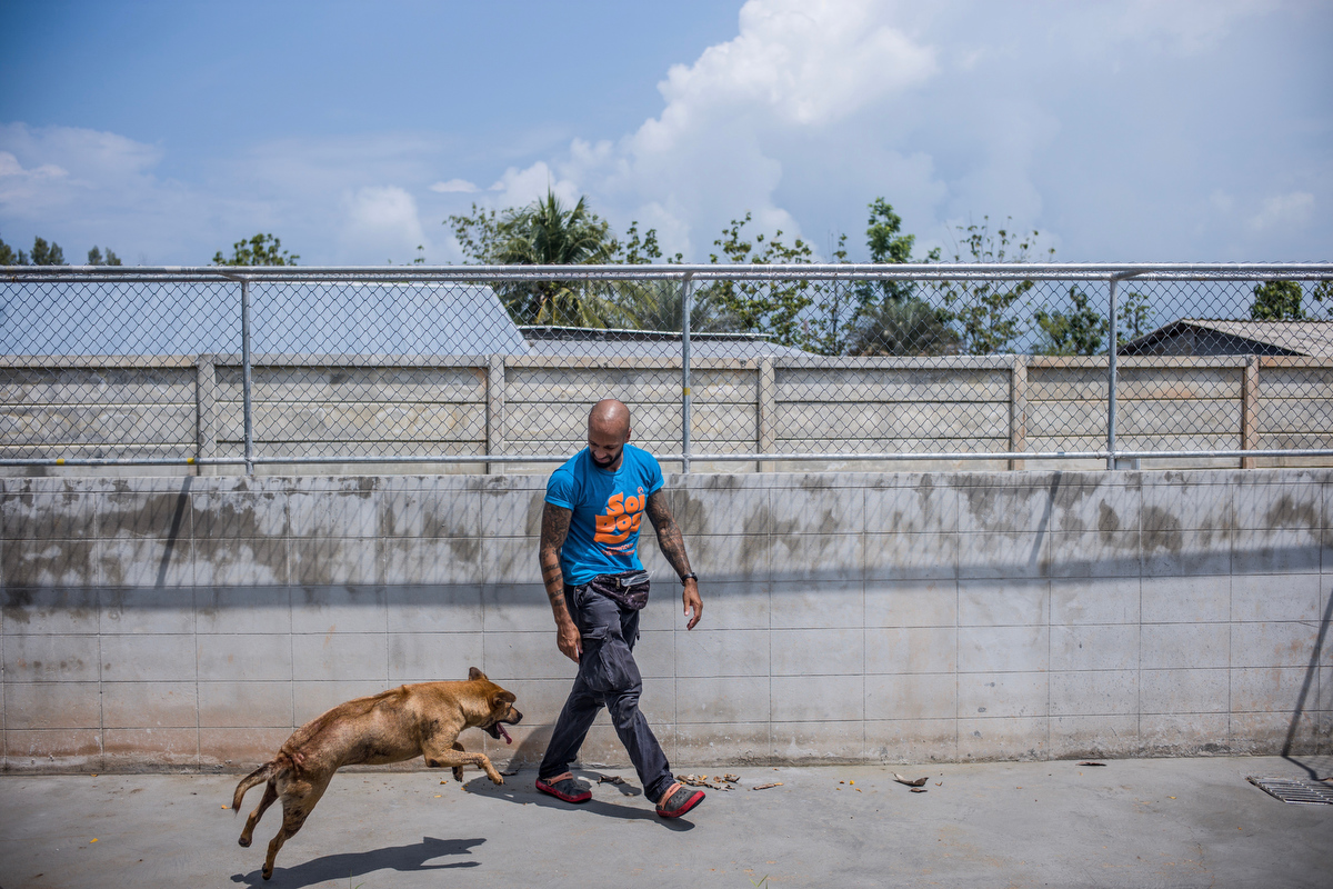 The Heroic People Who Care for Thailand's Street Dogs - Feature Shoot