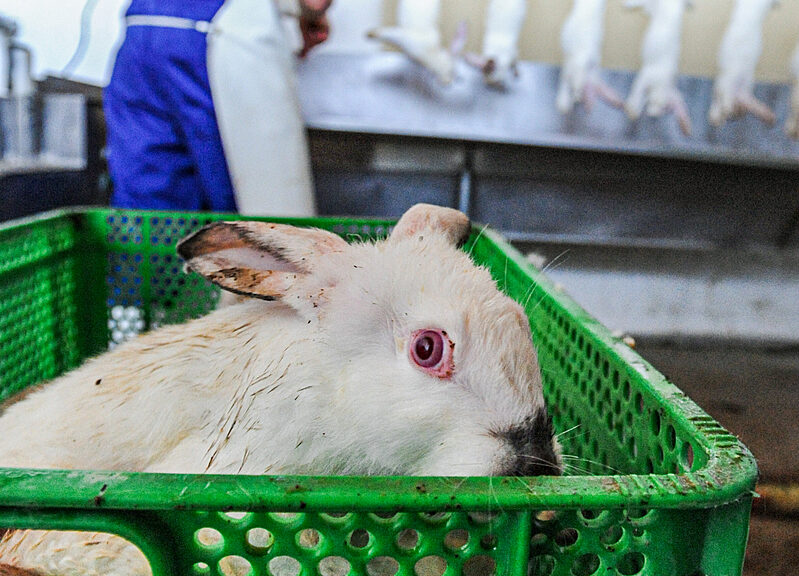 documentary photography Archives - Feature Shoot