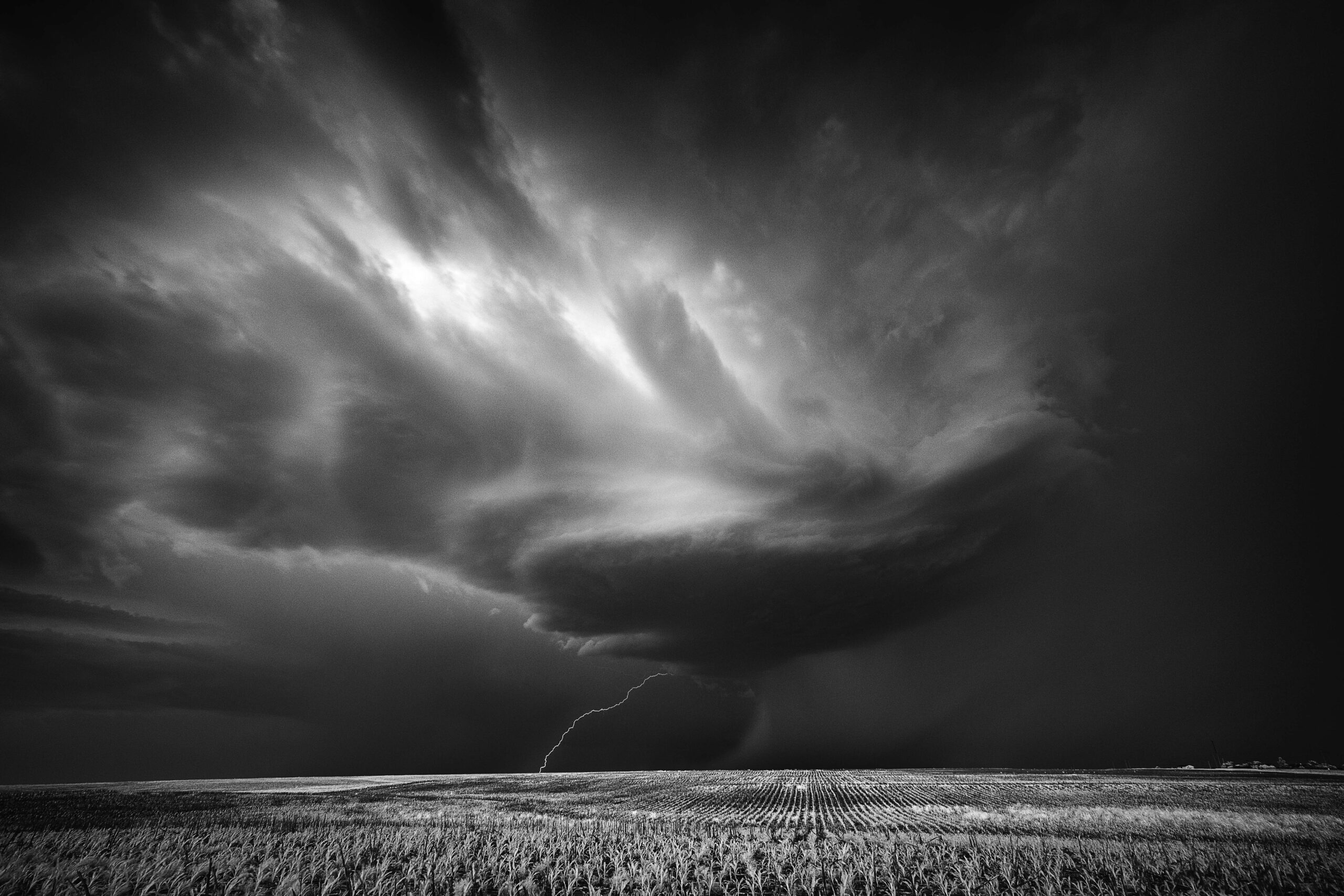 Announcing the Series Winners of the Emerging Photography Awards 2021 ...