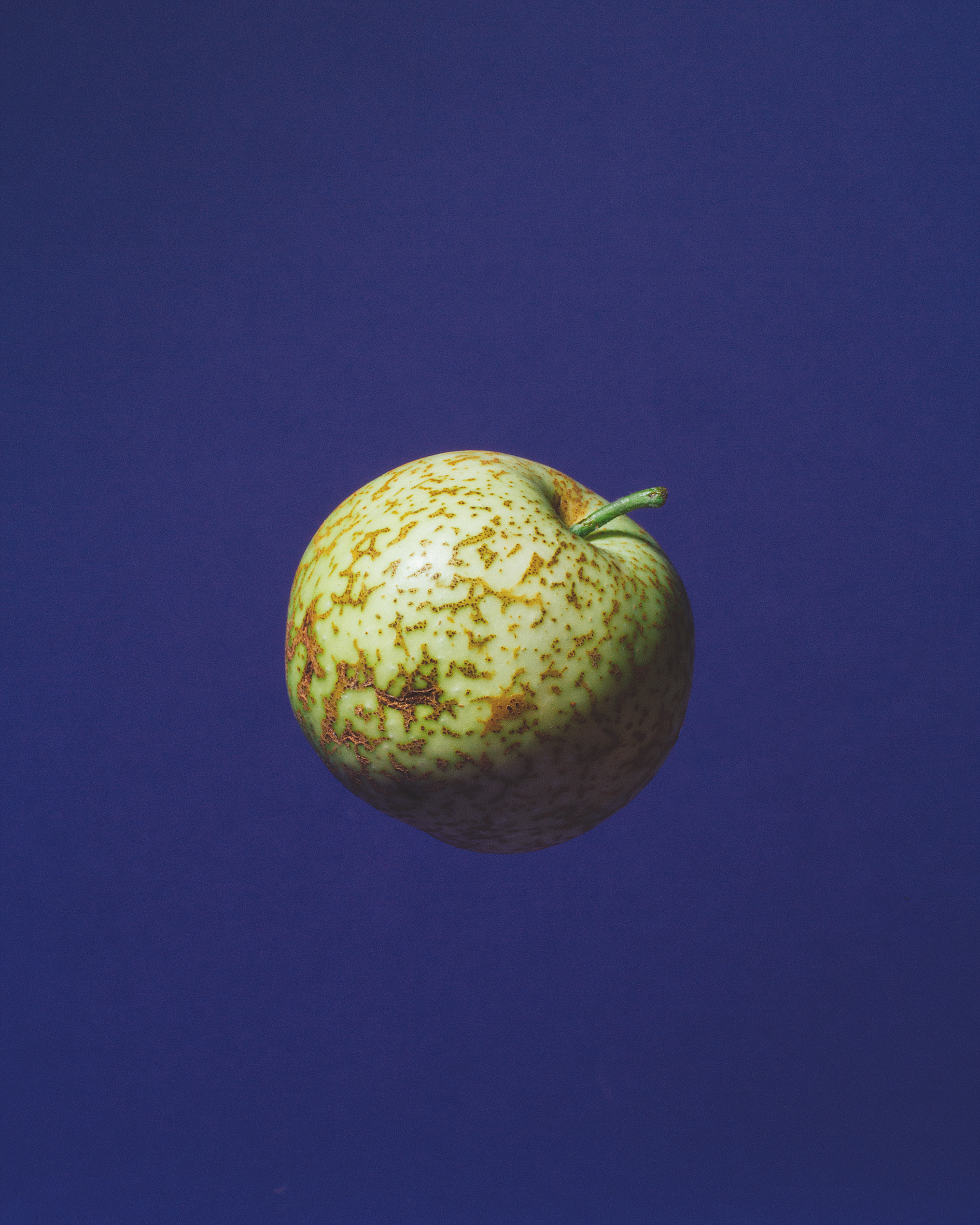 These 'Odd Apples' Are Delightful to Behold - Feature Shoot