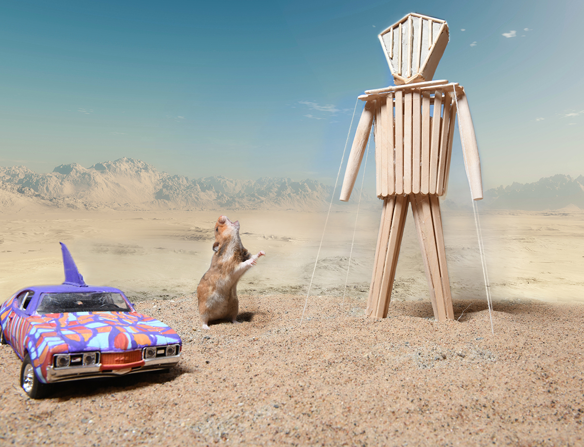 Kevin, the Millennial Hamster, Will Steal Your Heart - Feature Shoot