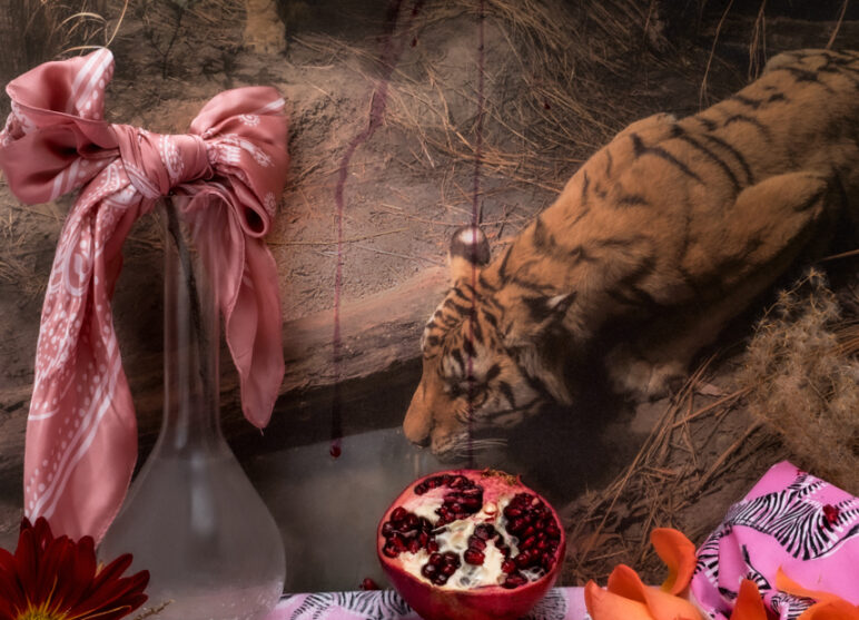 still life photography Archives - Feature Shoot