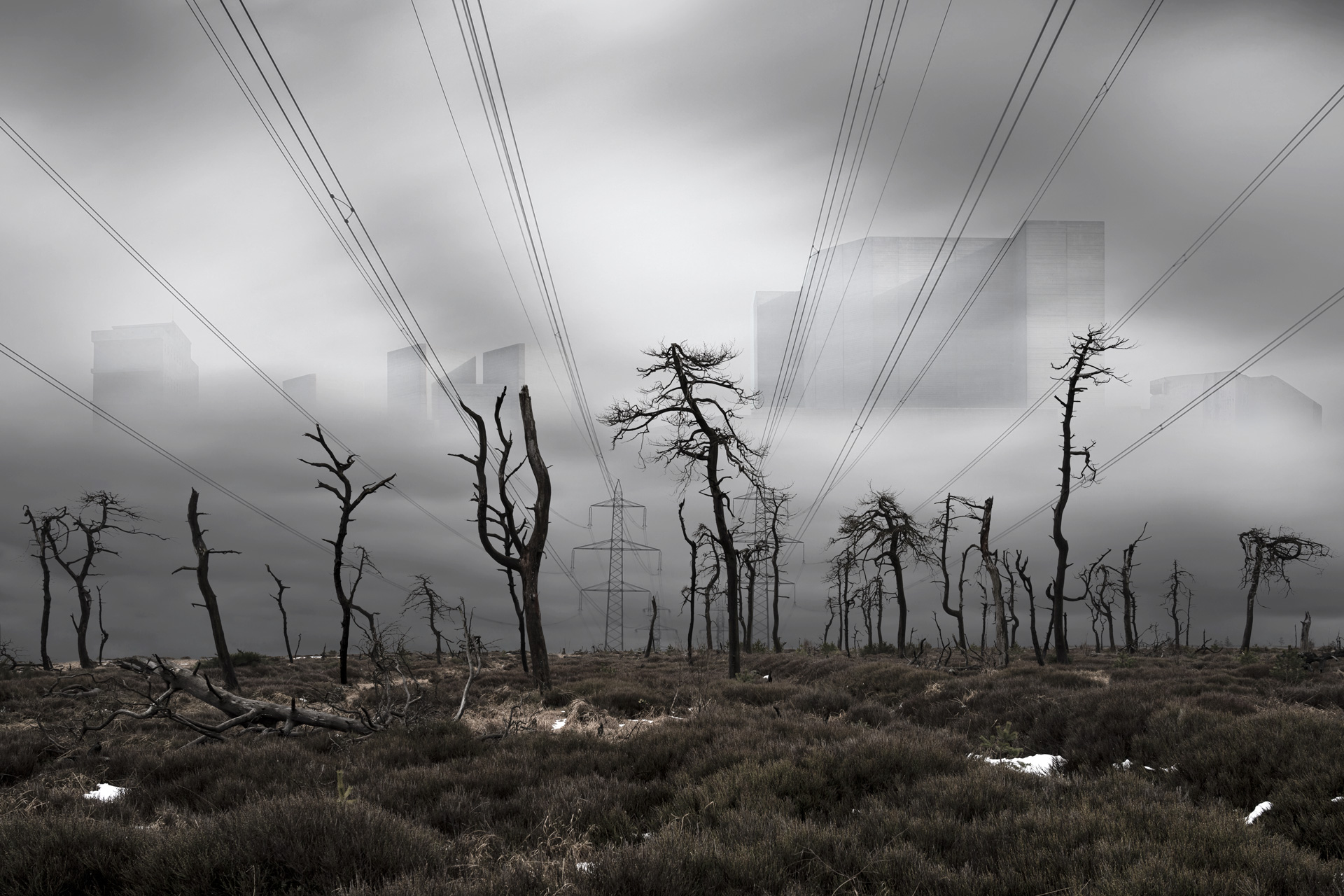 Welcome to the Dystopian Future - Feature Shoot