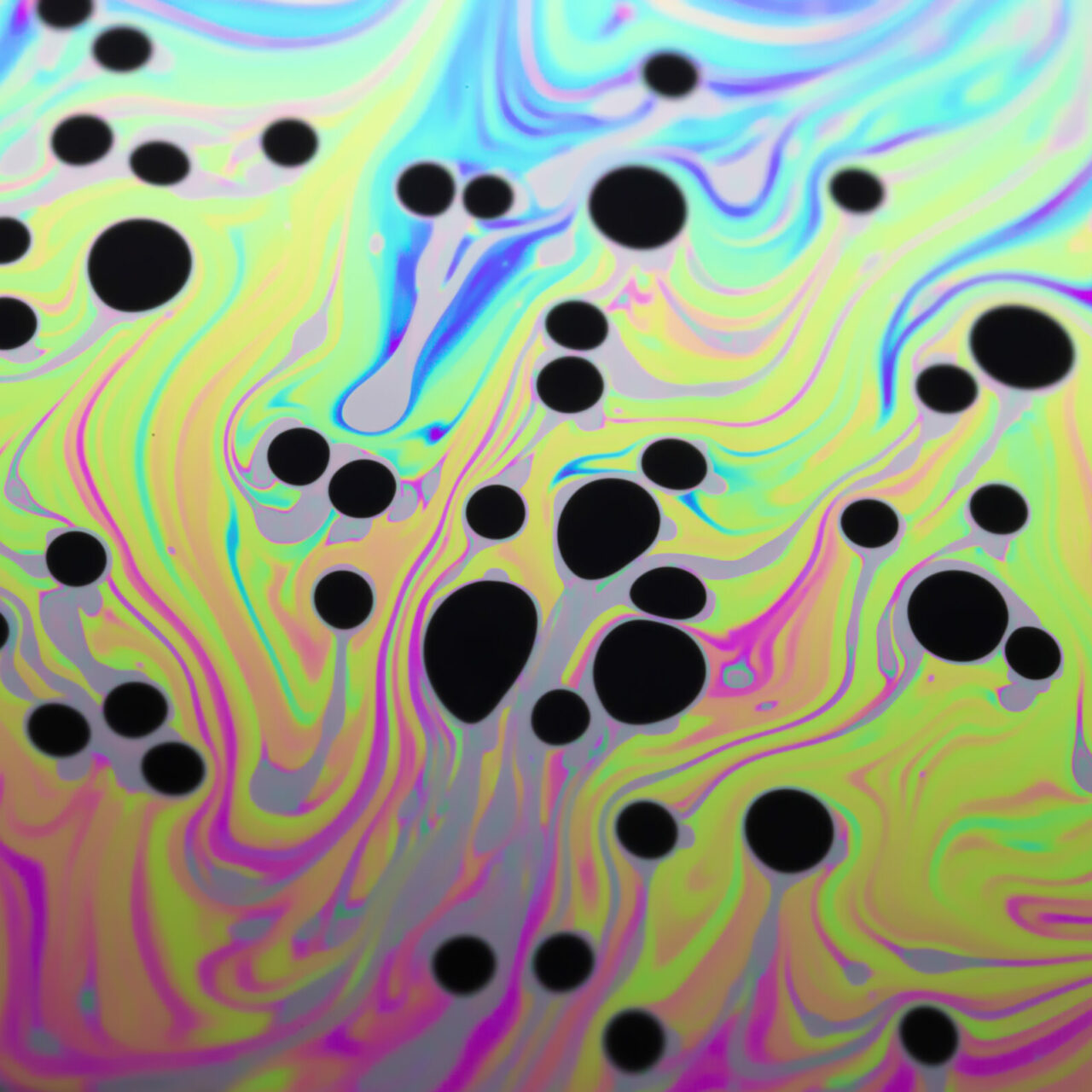 macro photography Archives - Feature Shoot