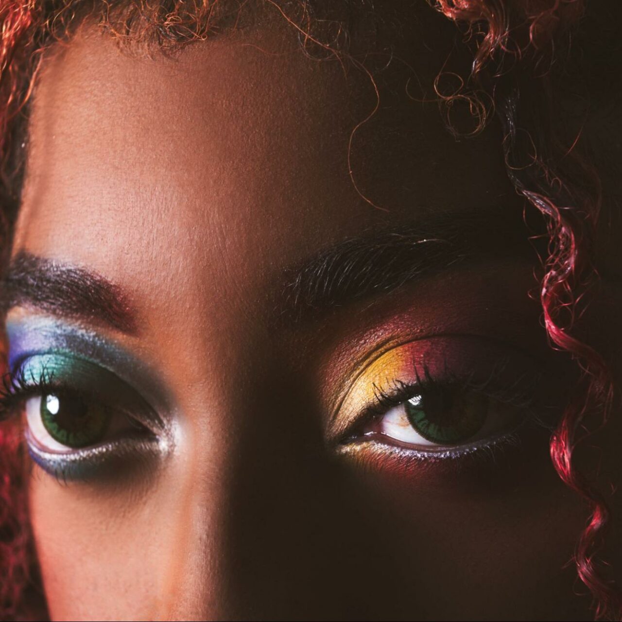 Ellyn Kail, Author at Feature Shoot