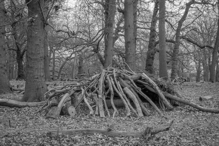The Unexpected Architectural Beauty of Woodland Dens - Feature Shoot
