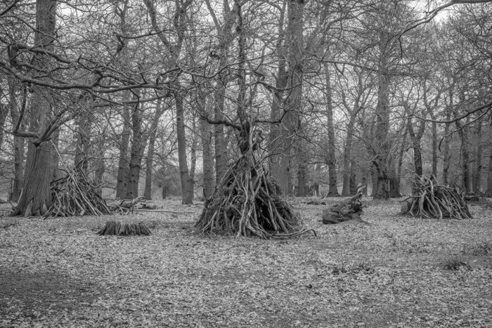 The Unexpected Architectural Beauty of Woodland Dens - Feature Shoot