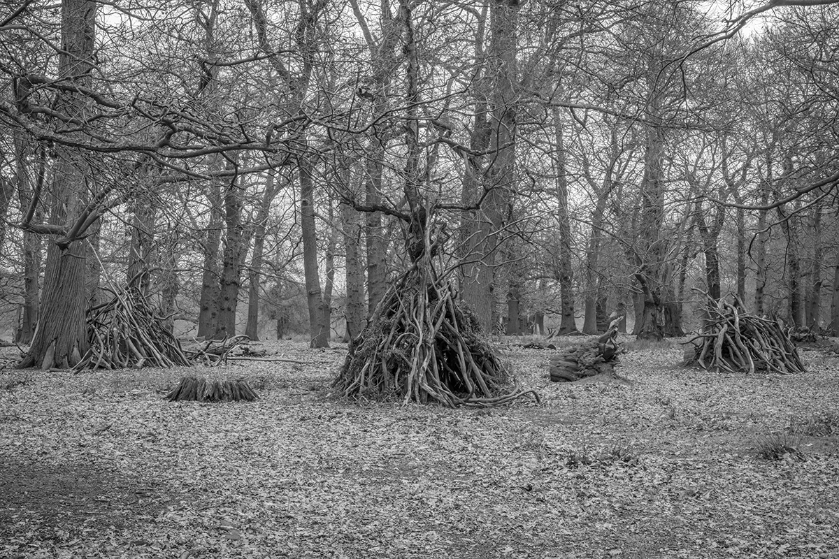 The Unexpected Architectural Beauty of Woodland Dens - Feature Shoot