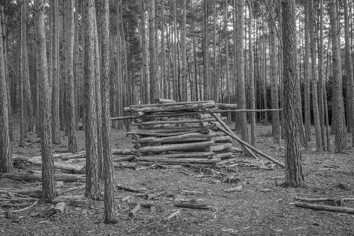 The Unexpected Architectural Beauty of Woodland Dens - Feature Shoot