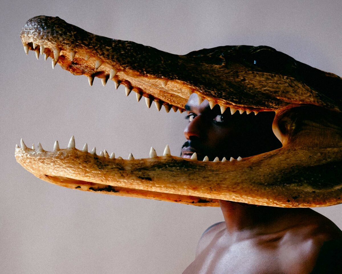 Fantastical NFTs Take Us Inside a Photographer’s Imagination - Feature ...