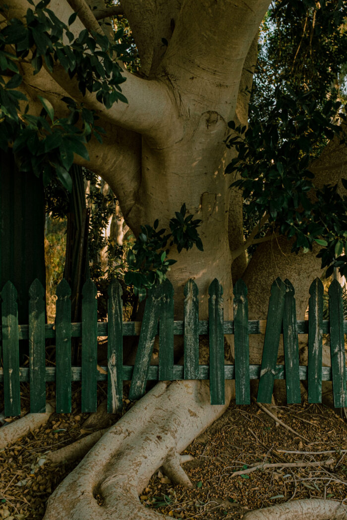 The Raw Beauty of Early Motherhood, Unfiltered - Feature Shoot