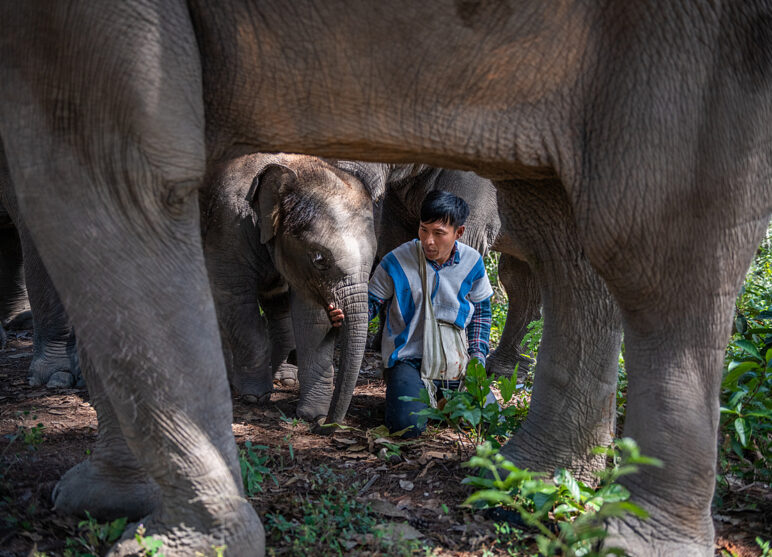 Travel photography, Fashion photography, Documentary photography ...