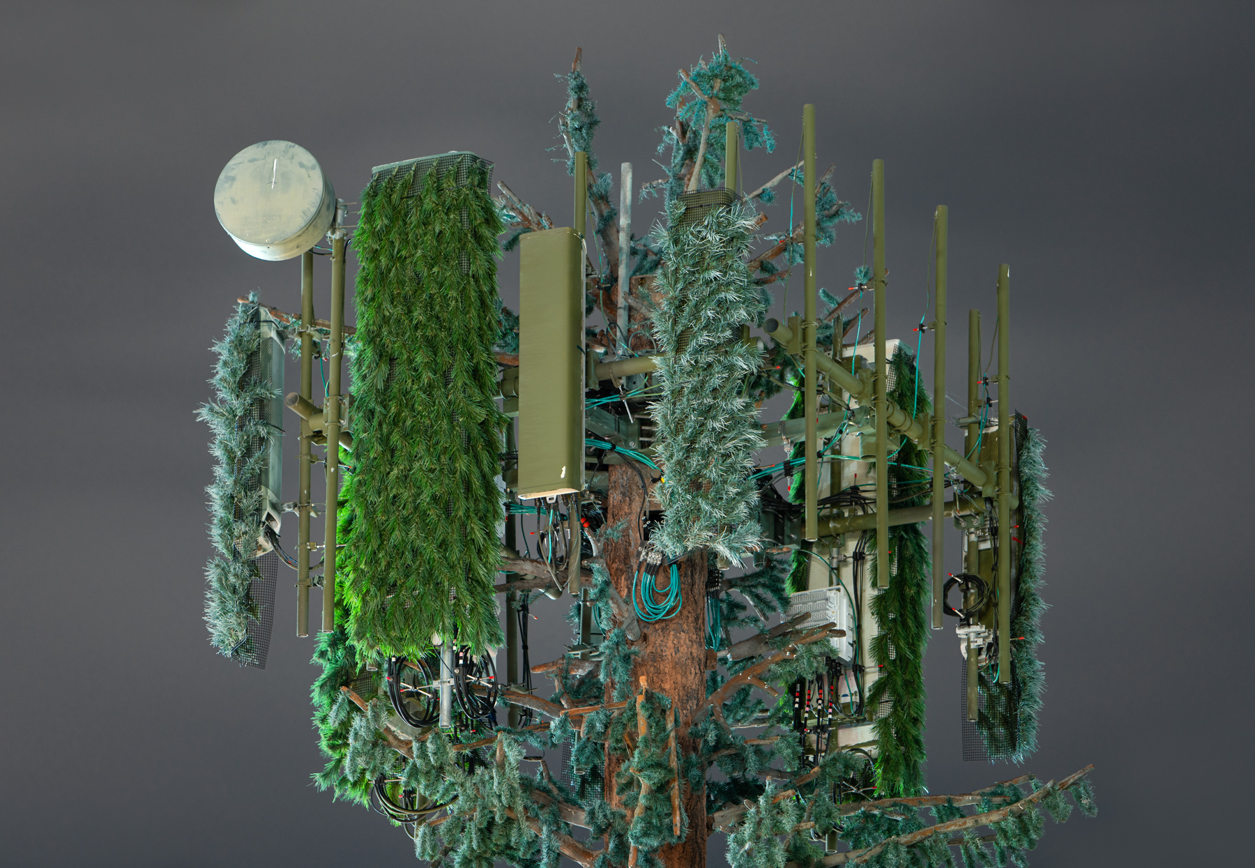 These Cell Towers Disguised as Trees Are the Height of Absurdity ...