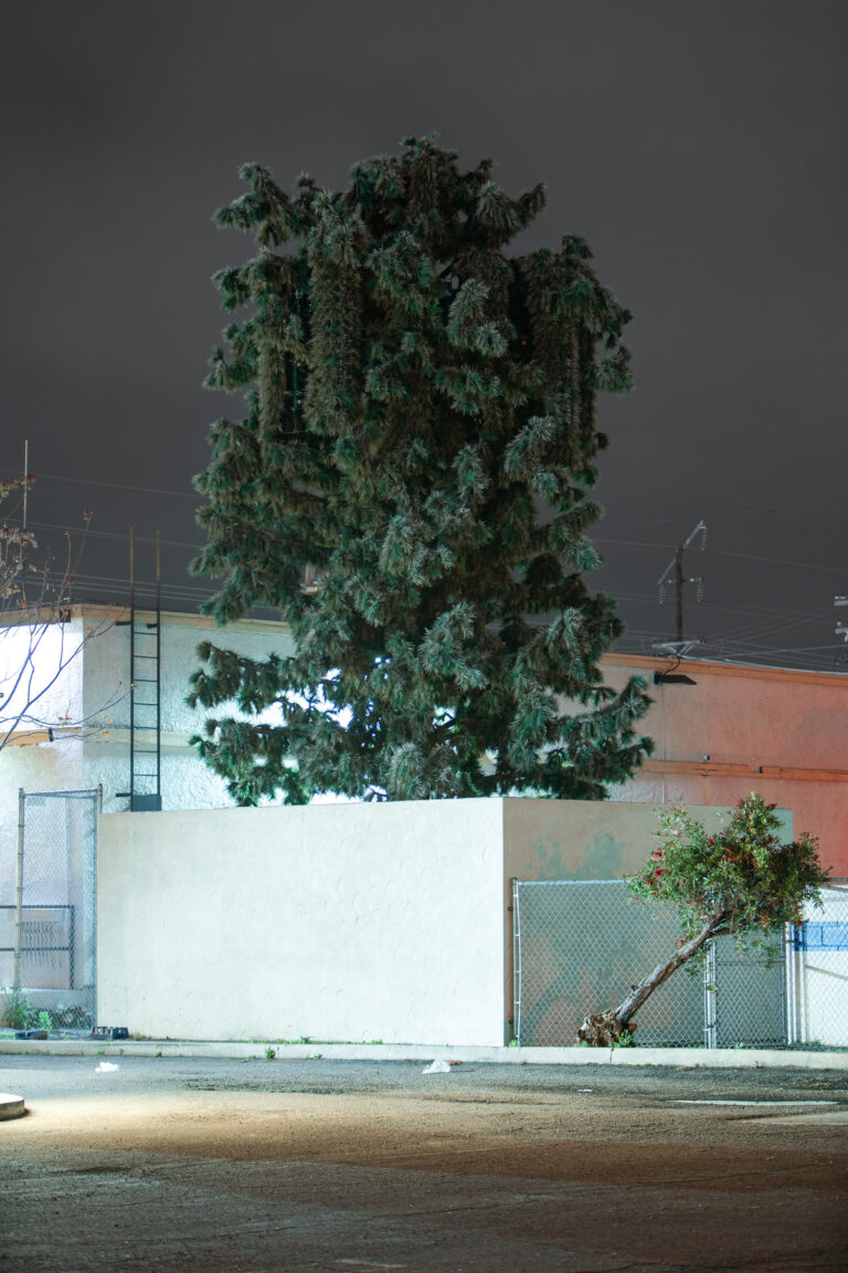 These Cell Towers Disguised as Trees Are the Height of Absurdity ...