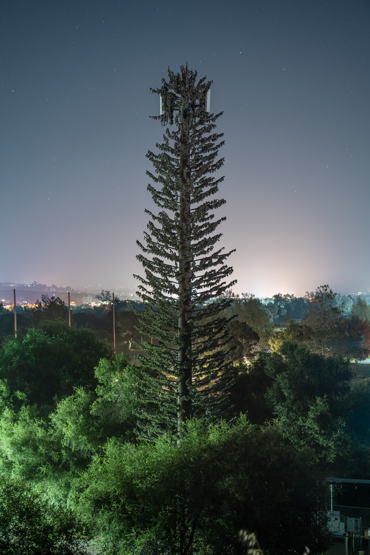 These Cell Towers Disguised as Trees Are the Height of Absurdity ...