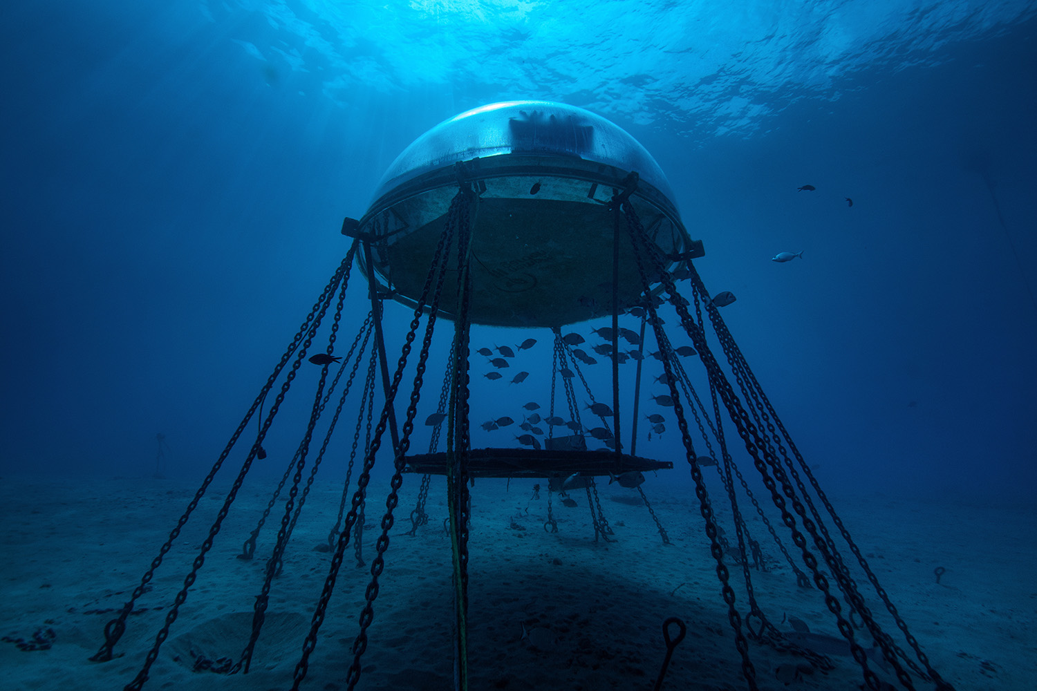 Welcome to Nemo’s Garden, a Sustainable, Underwater Greenhouse ...