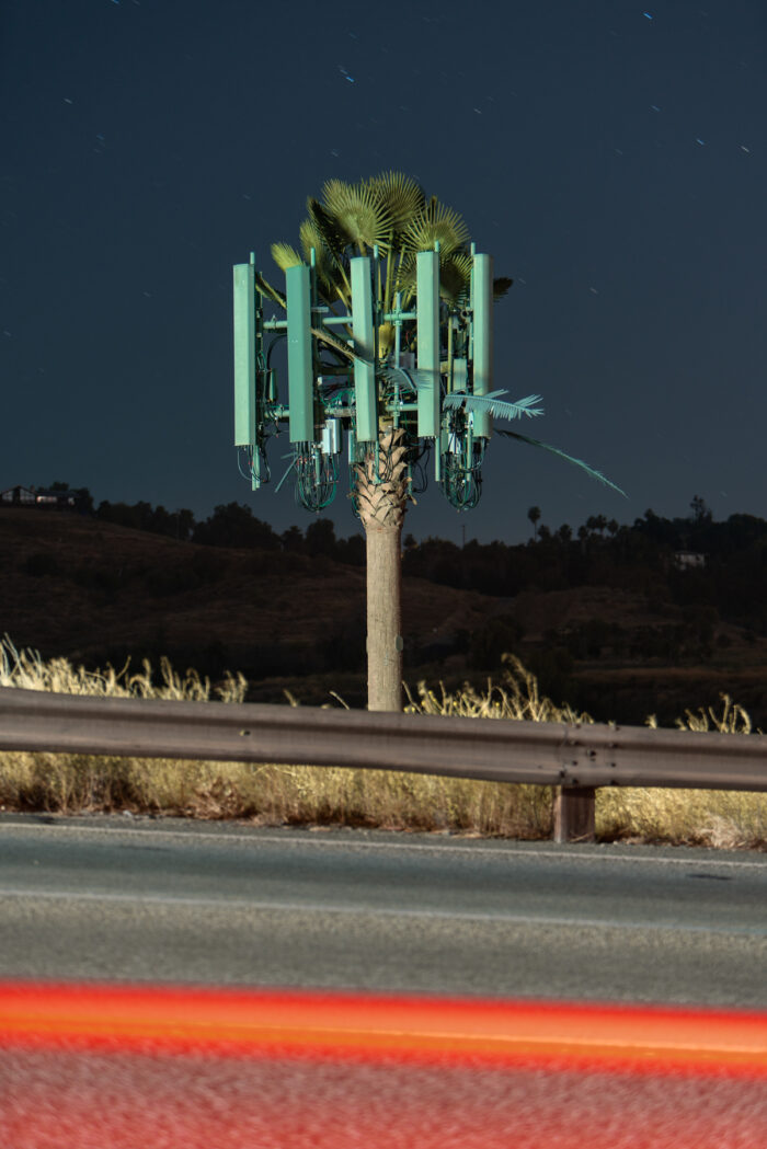These Cell Towers Disguised as Trees Are the Height of Absurdity ...