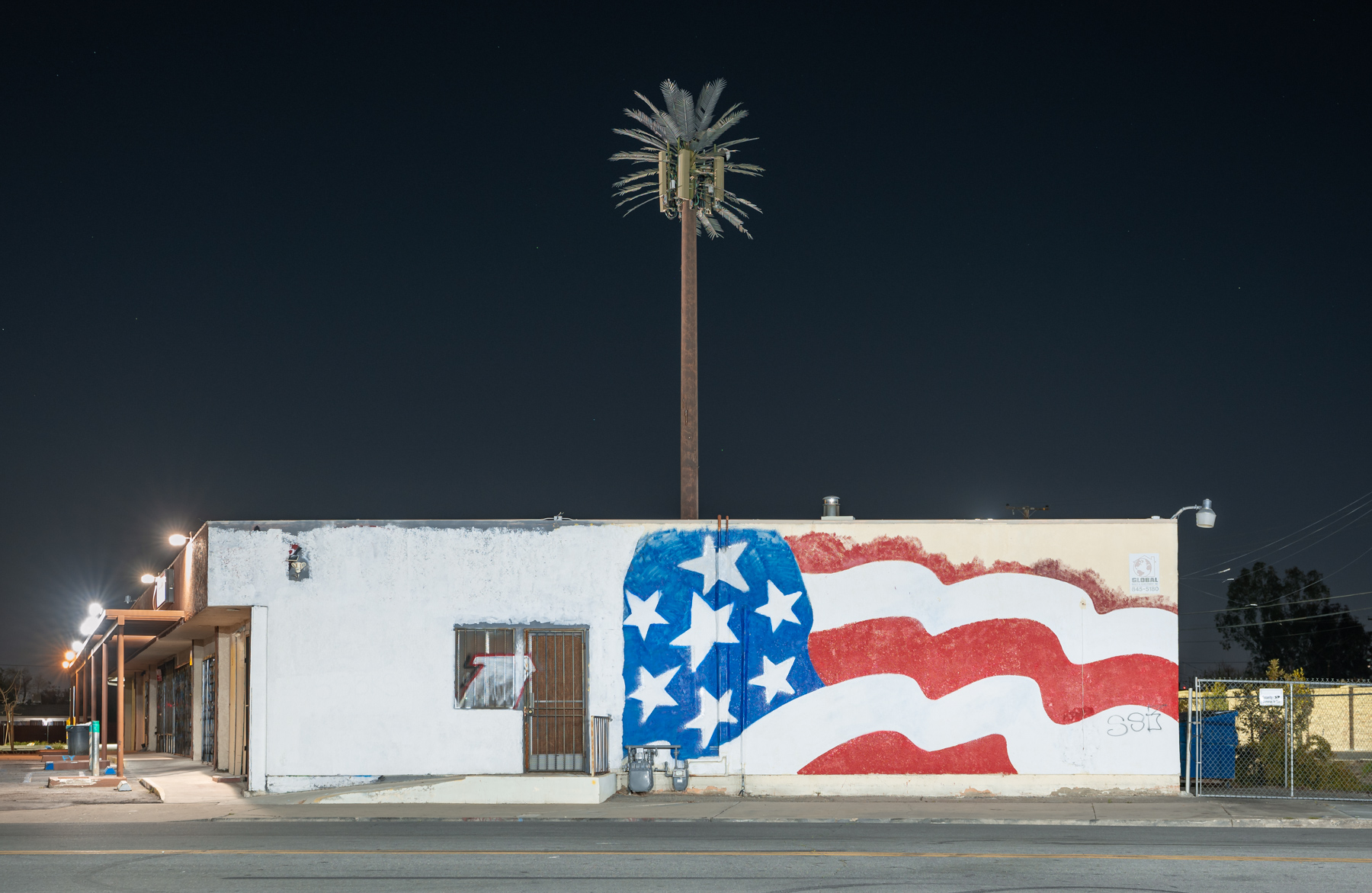These Cell Towers Disguised as Trees Are the Height of Absurdity ...