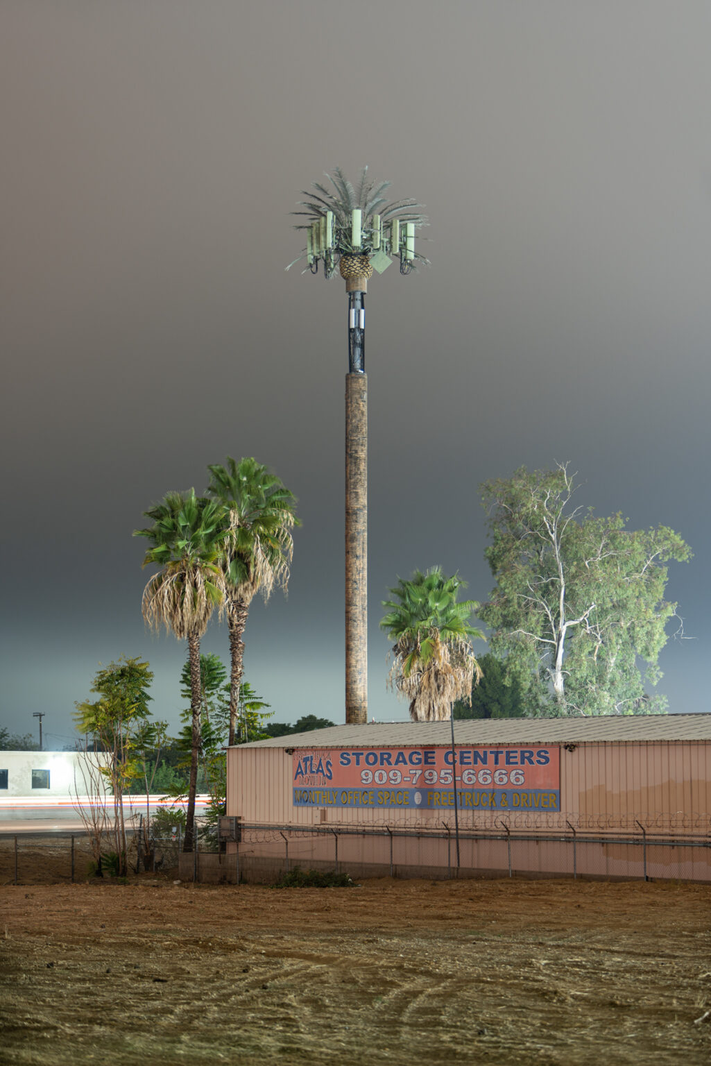 These Cell Towers Disguised as Trees Are the Height of Absurdity ...