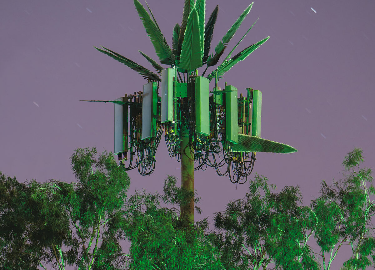 Ellyn Kail, Author at Feature Shoot