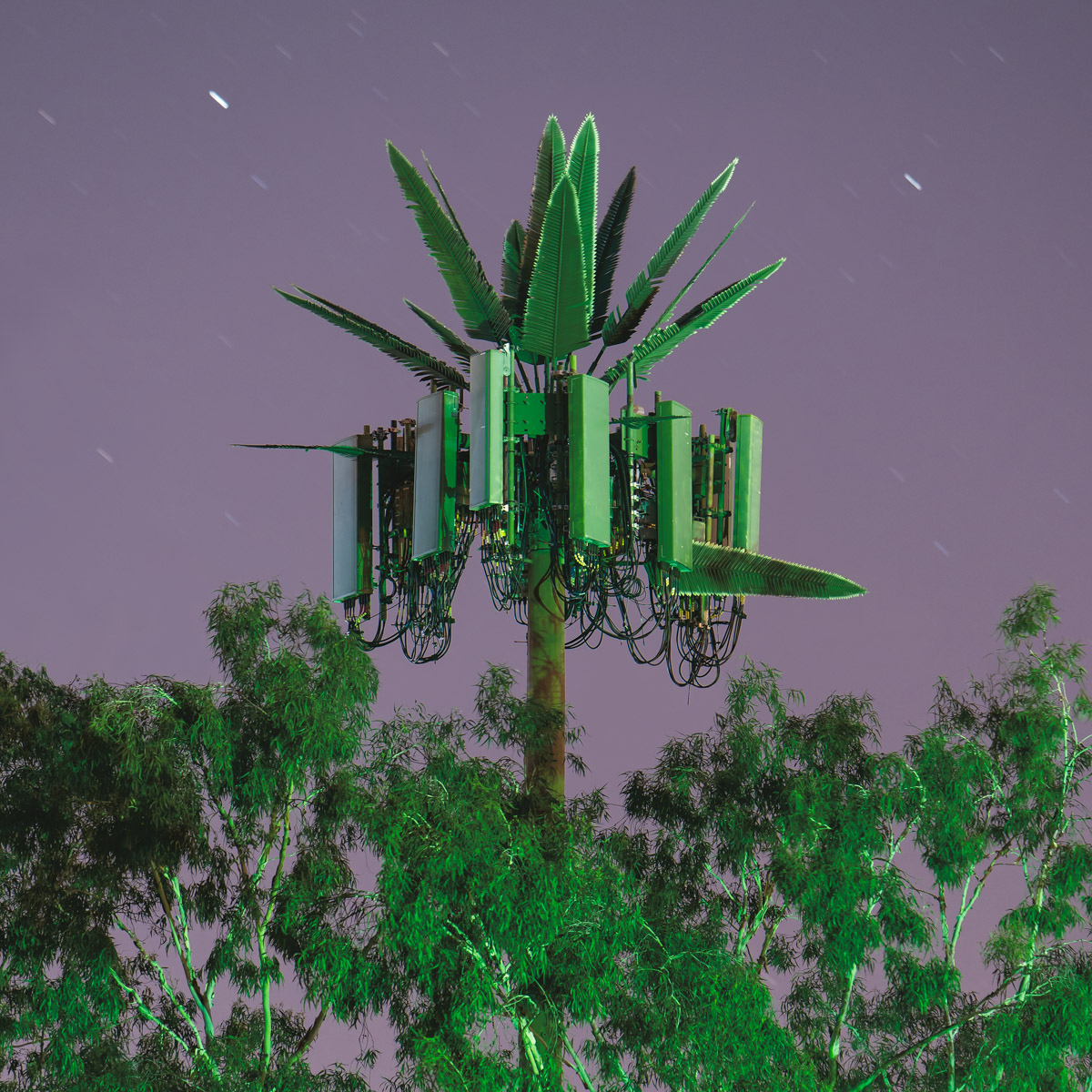 These Cell Towers Disguised as Trees Are the Height of Absurdity ...