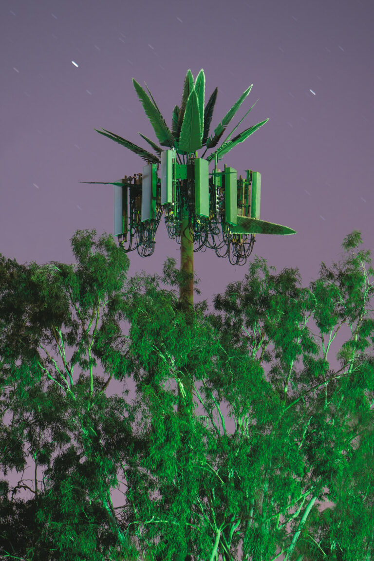 These Cell Towers Disguised as Trees Are the Height of Absurdity - Feature Shoot