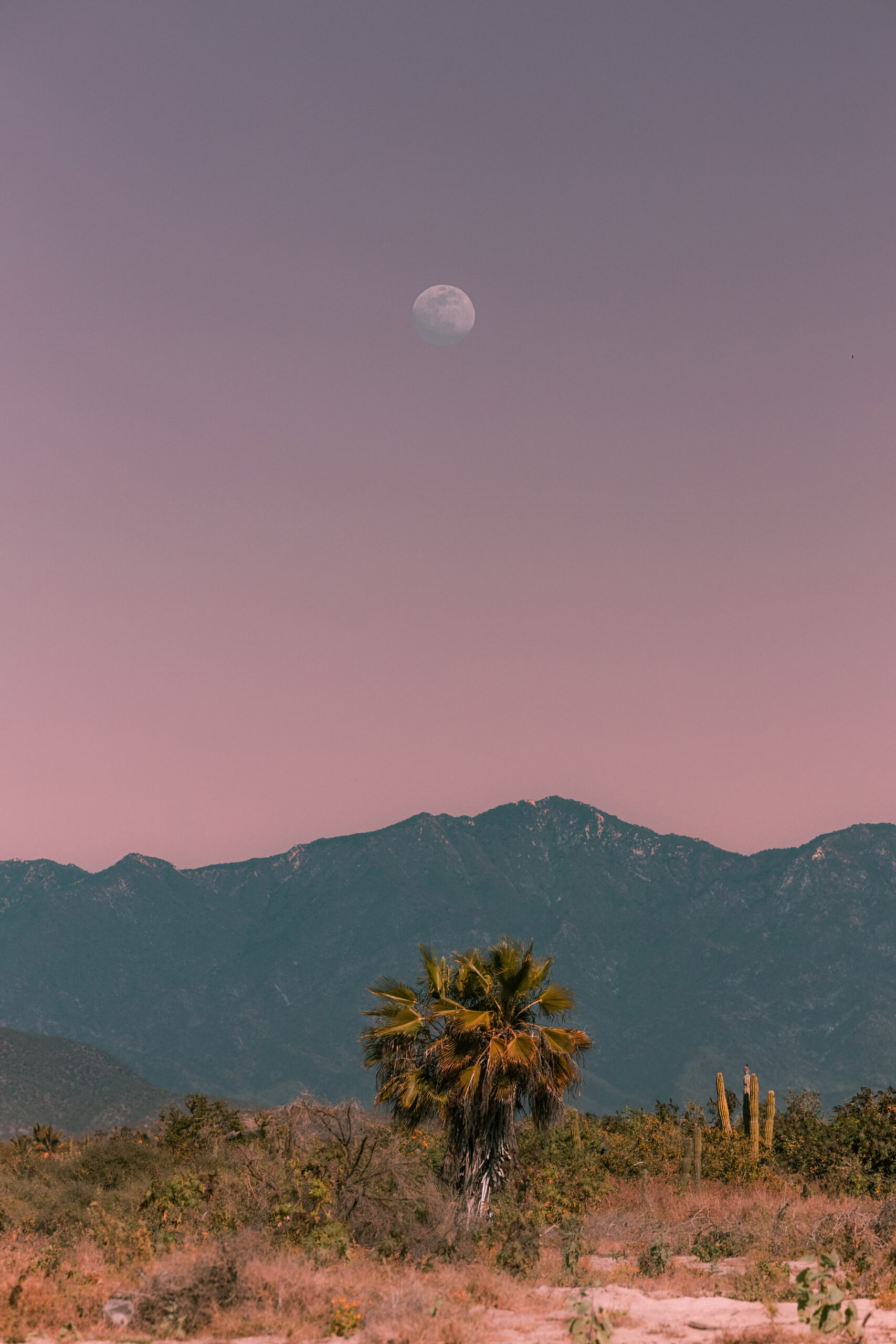 How One Photographer's Hearing Loss Encouraged Her to See the World ...