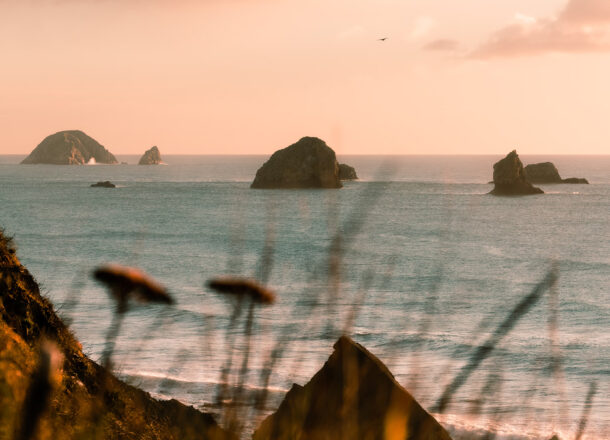 Ellyn Kail, Author at Feature Shoot