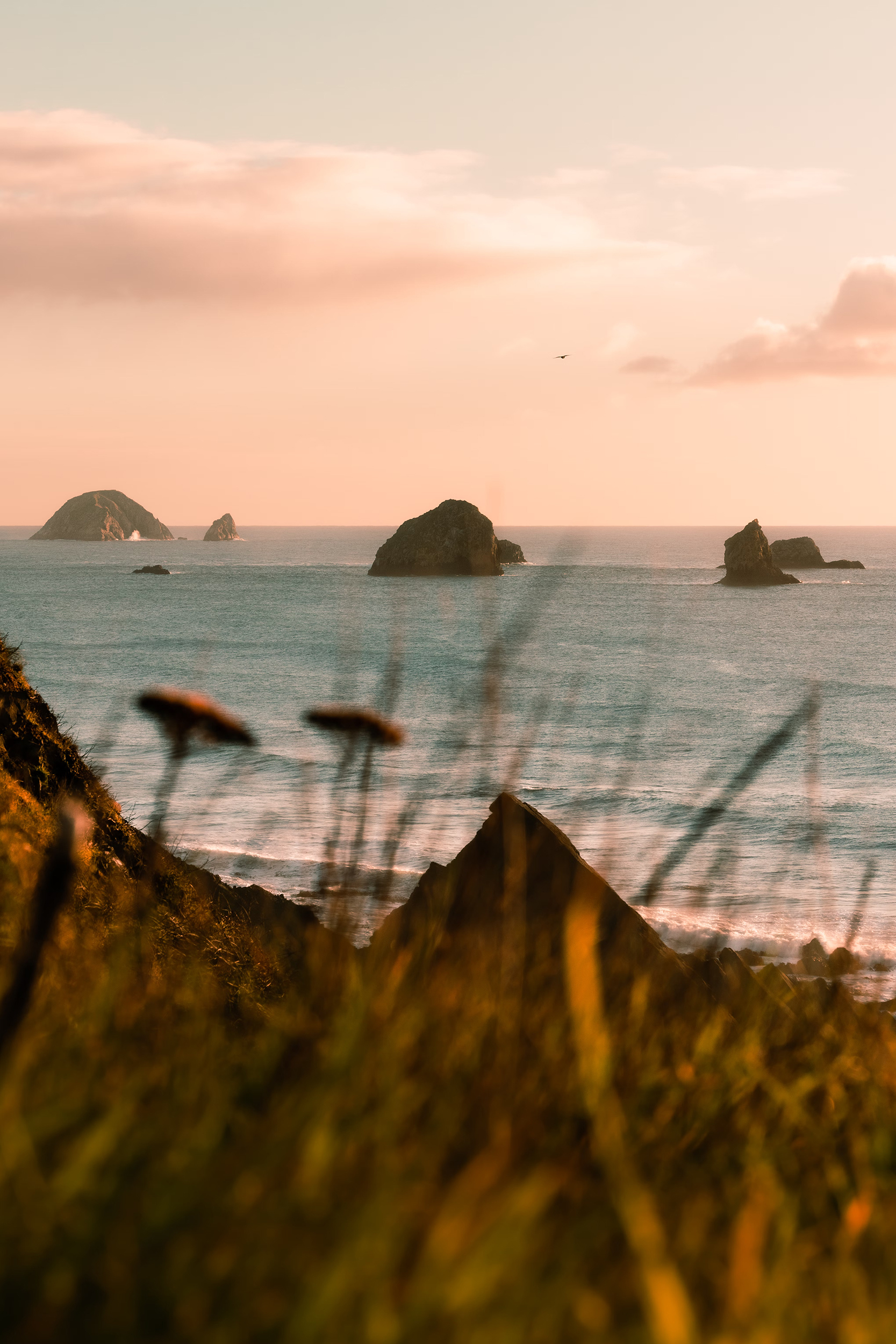 How One Photographer's Hearing Loss Encouraged Her to See the World ...