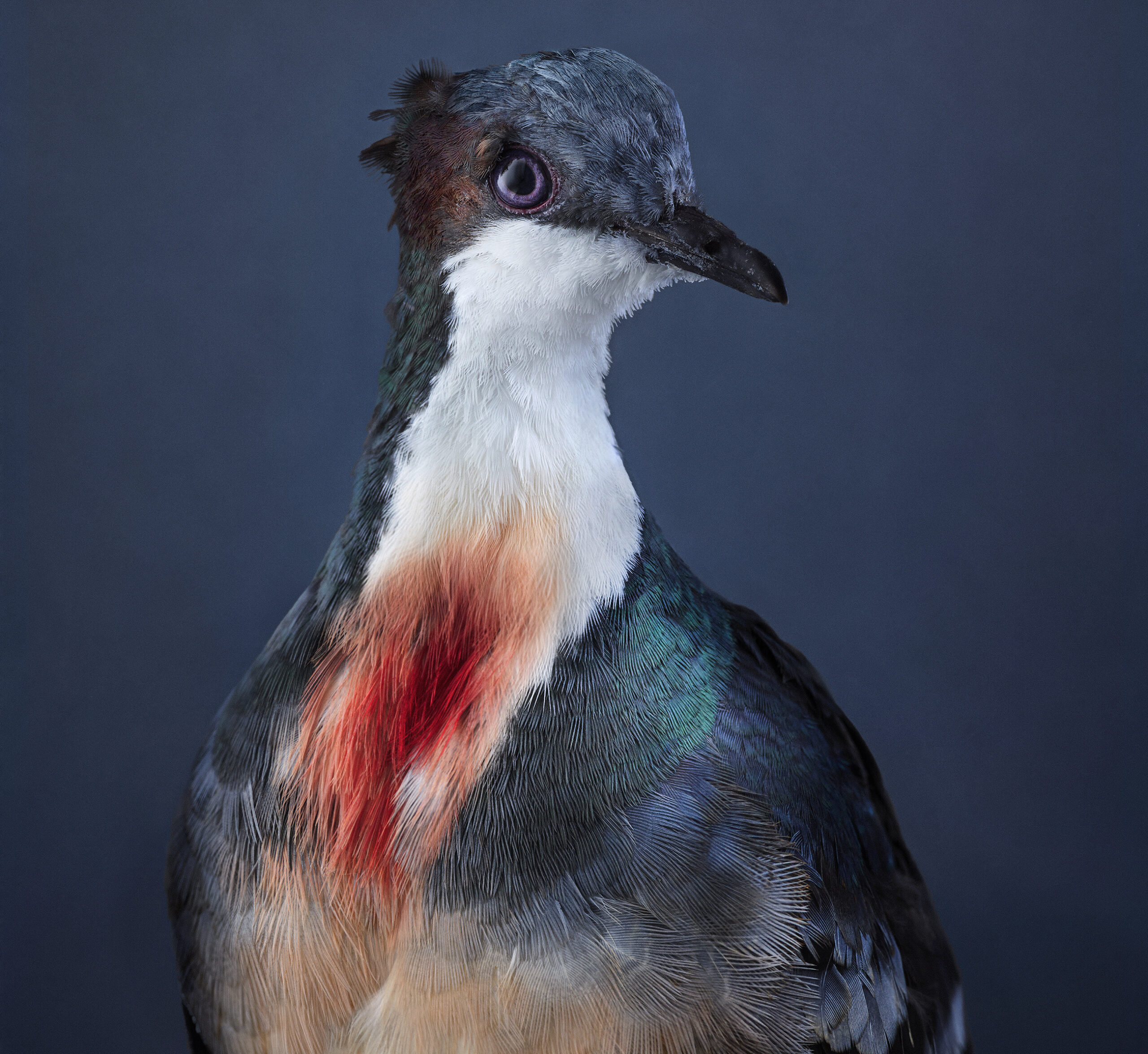 The wound is the place where the light enters - Feature Shoot