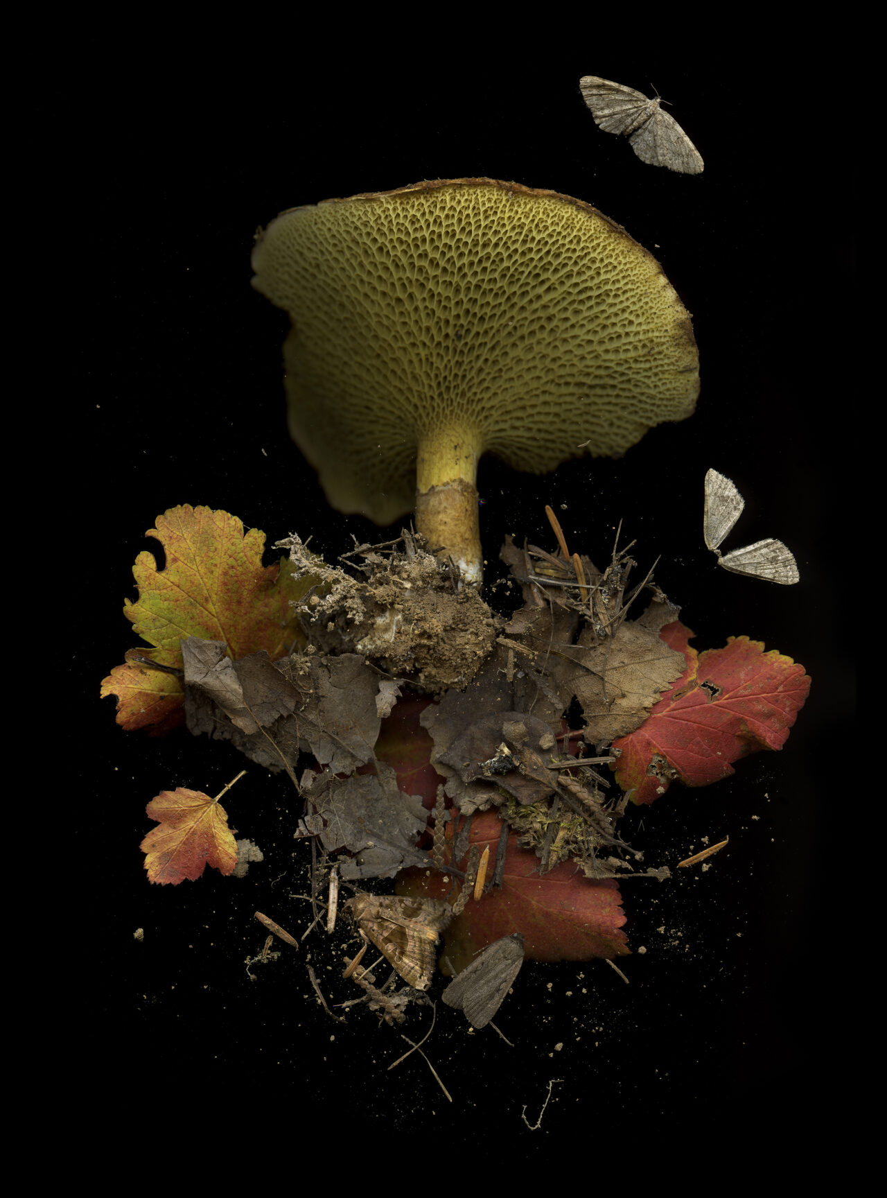 This Photographer Lives and Works Out of a Camper, Capturing Nature’s ...