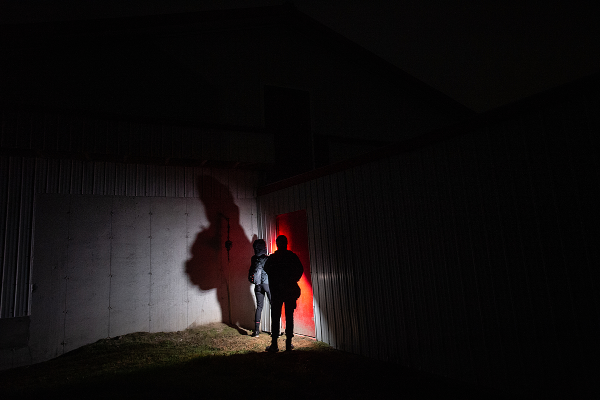 These Brave Animal Photojournalists Investigate Factory Farms